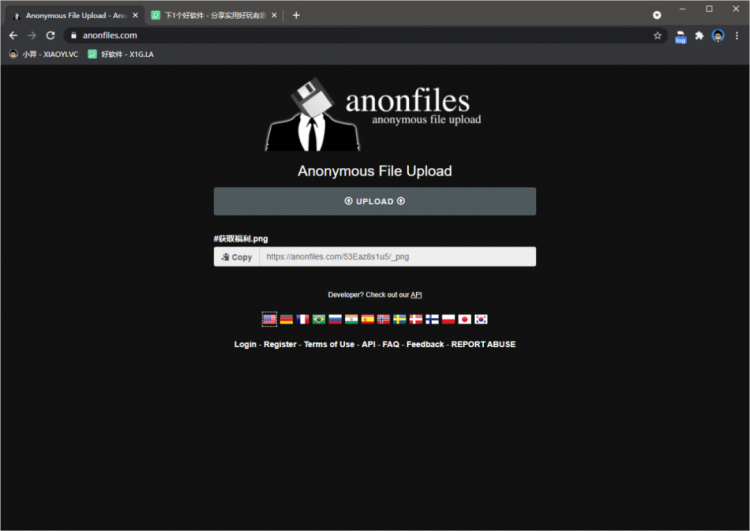 [在线] Anonfiles - 文件分享服务，支持 20G 上传 - 小羿
